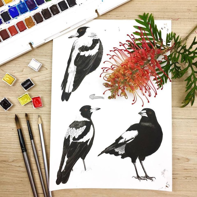 Australian Magpie Bird Art, Set of 3, Wall and Home Decor A5 or A4 ...