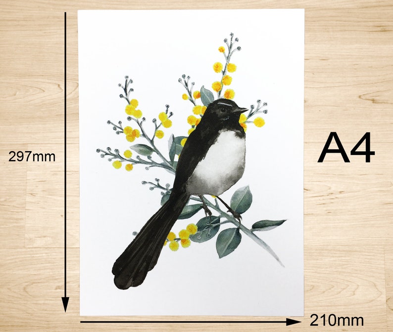 Australian Willie Wagtail Bird art set of 3 wall and home | Etsy