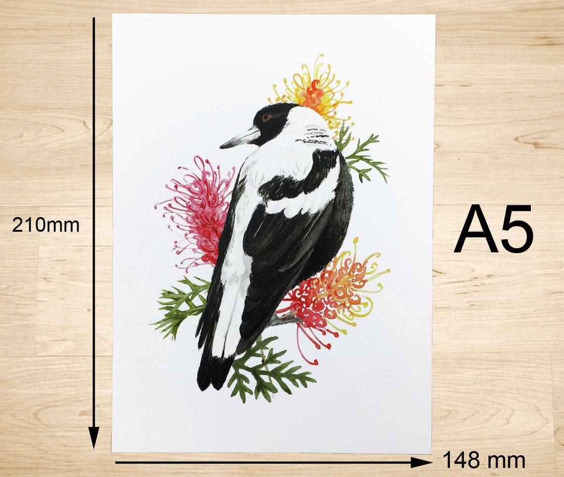 Australian Magpie Bird Art Set of 3 Wall and Home Decor A5 | Etsy