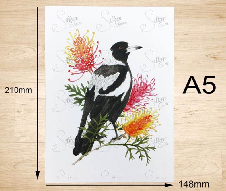 Australian Magpie Bird Art, Wall and Home Decor A5 or A4 Print ...