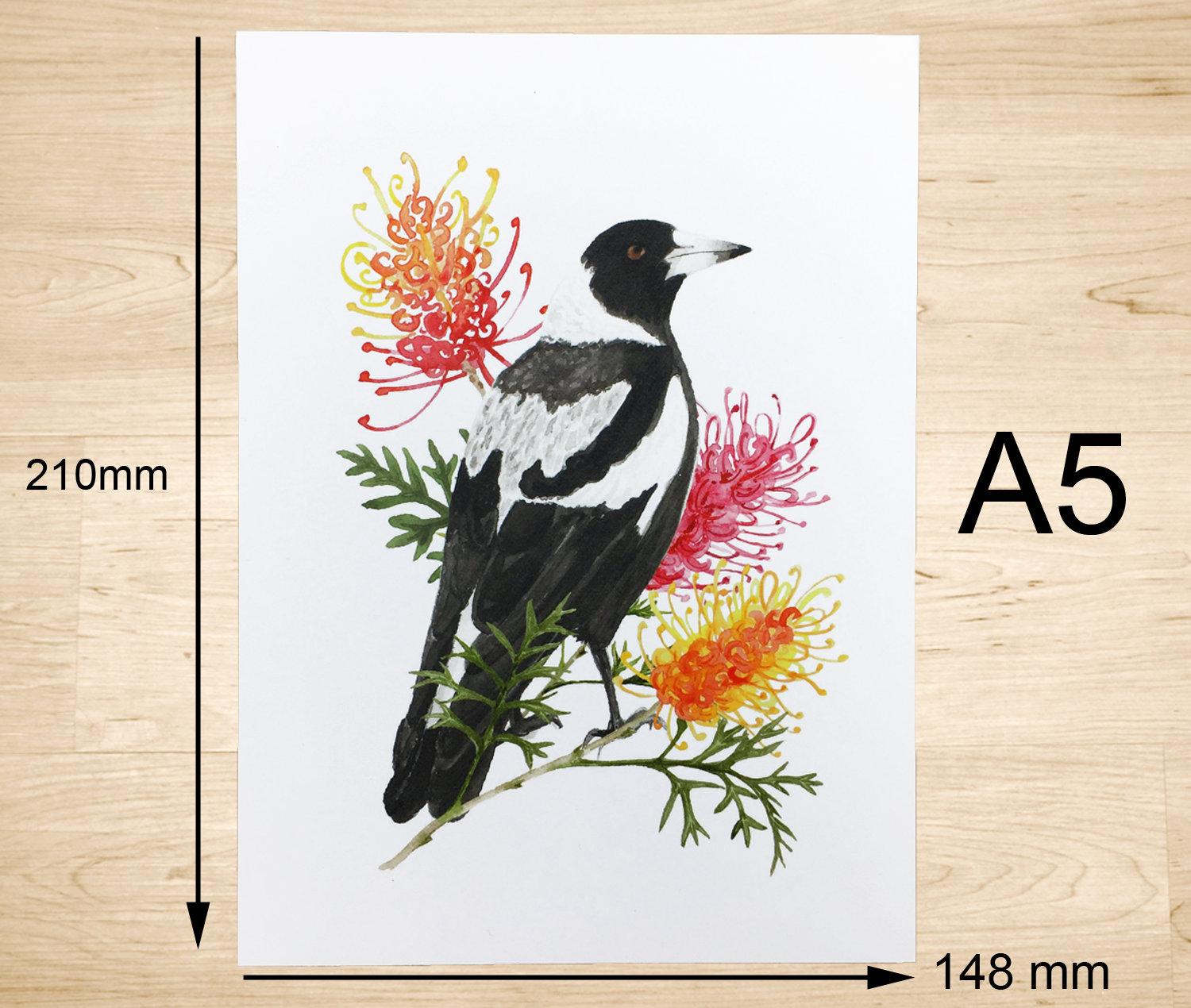 Australian Magpie Bird Art, Set of 3, Wall and Home Decor A5 or A4 ...
