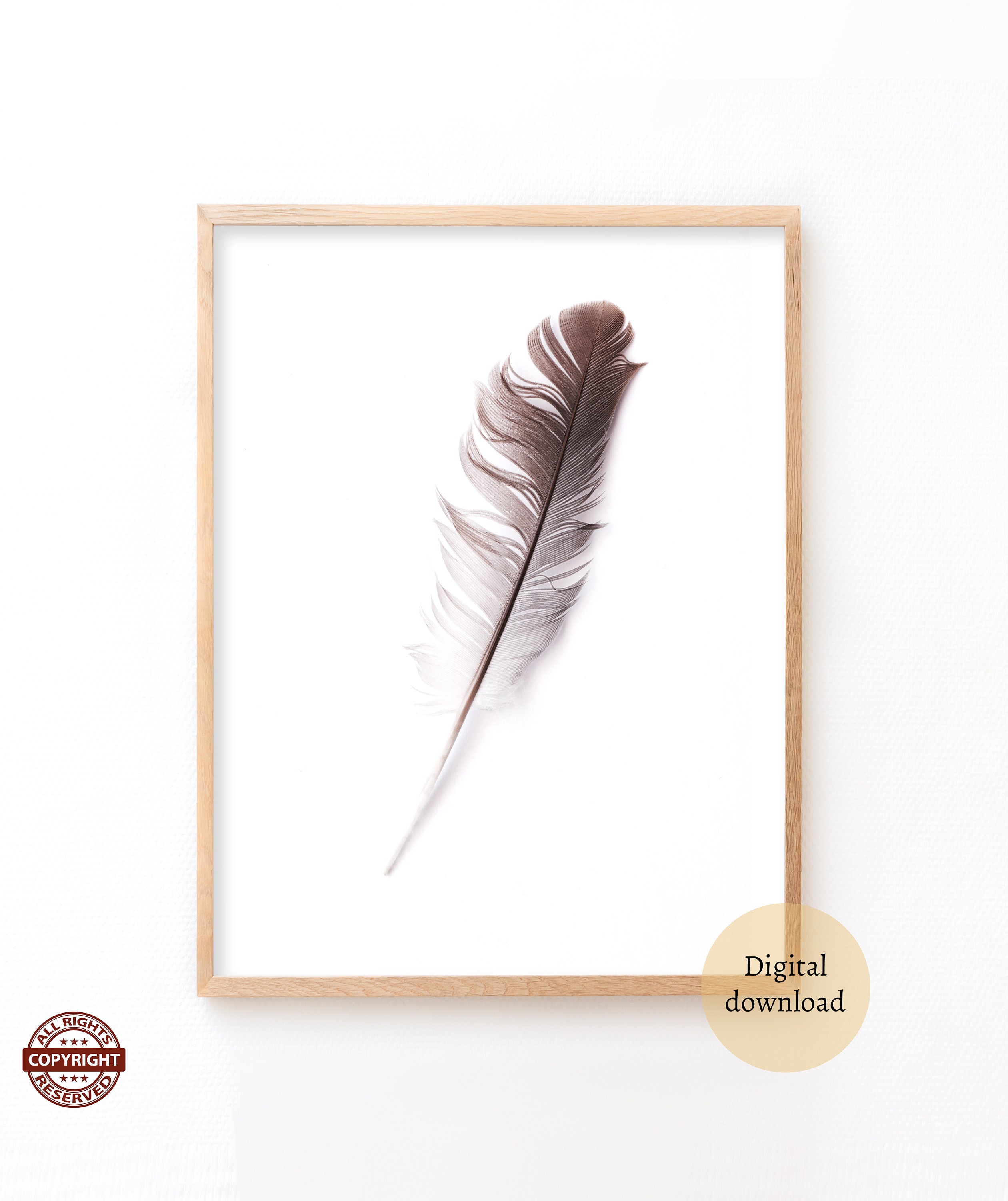 Feather Feather Printale Poster Digital Download Fine Art | Etsy