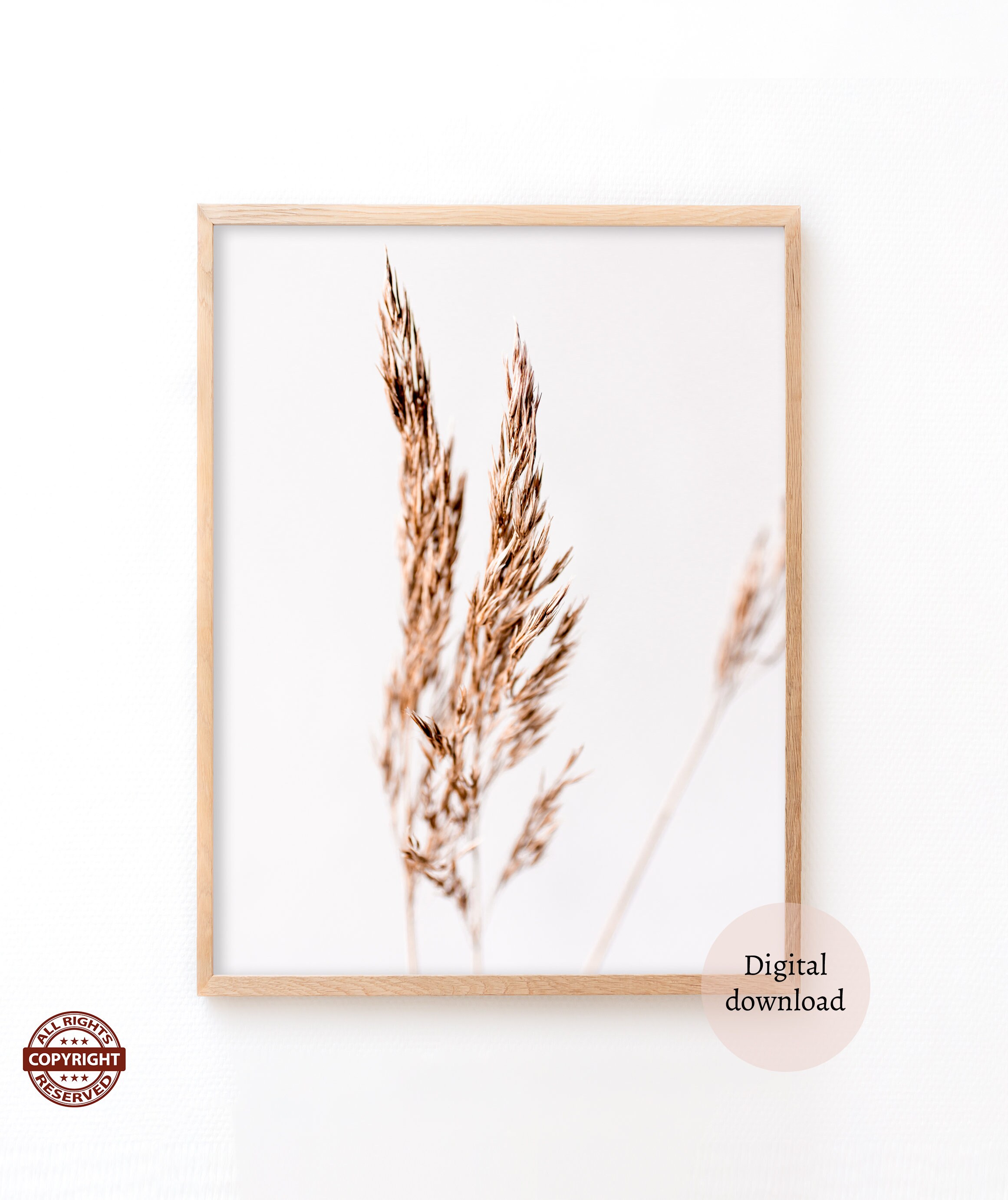 Dry Grass botanical Poster Creamy Wall Art Still Life Wall | Etsy