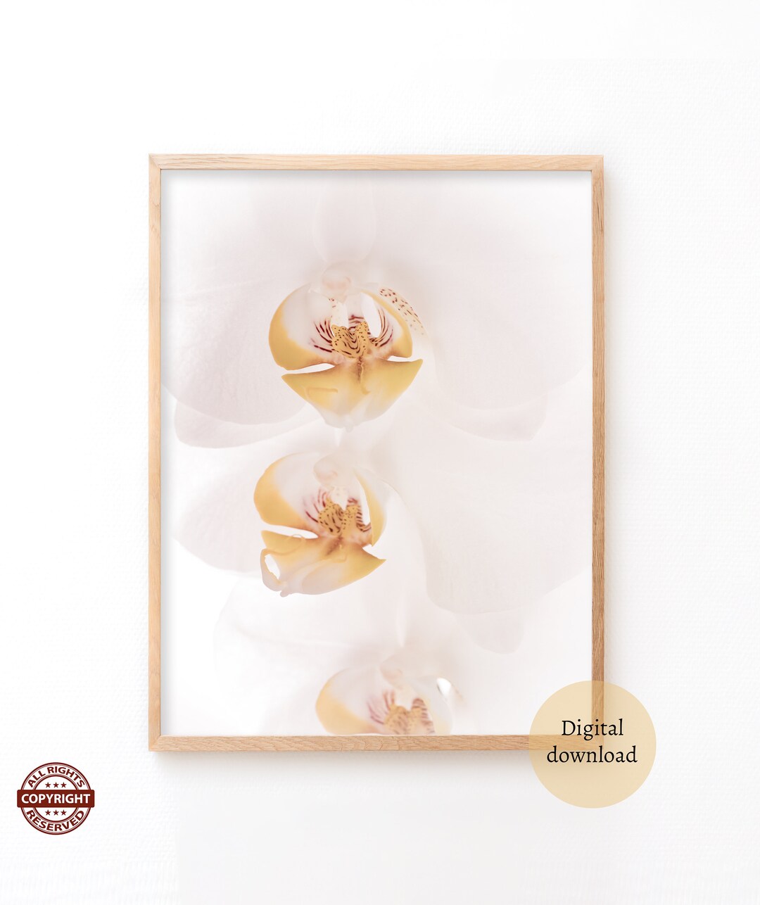 Orchid Print, Printable Files, Orchid Wallart, Modern Decor, Orchid ...