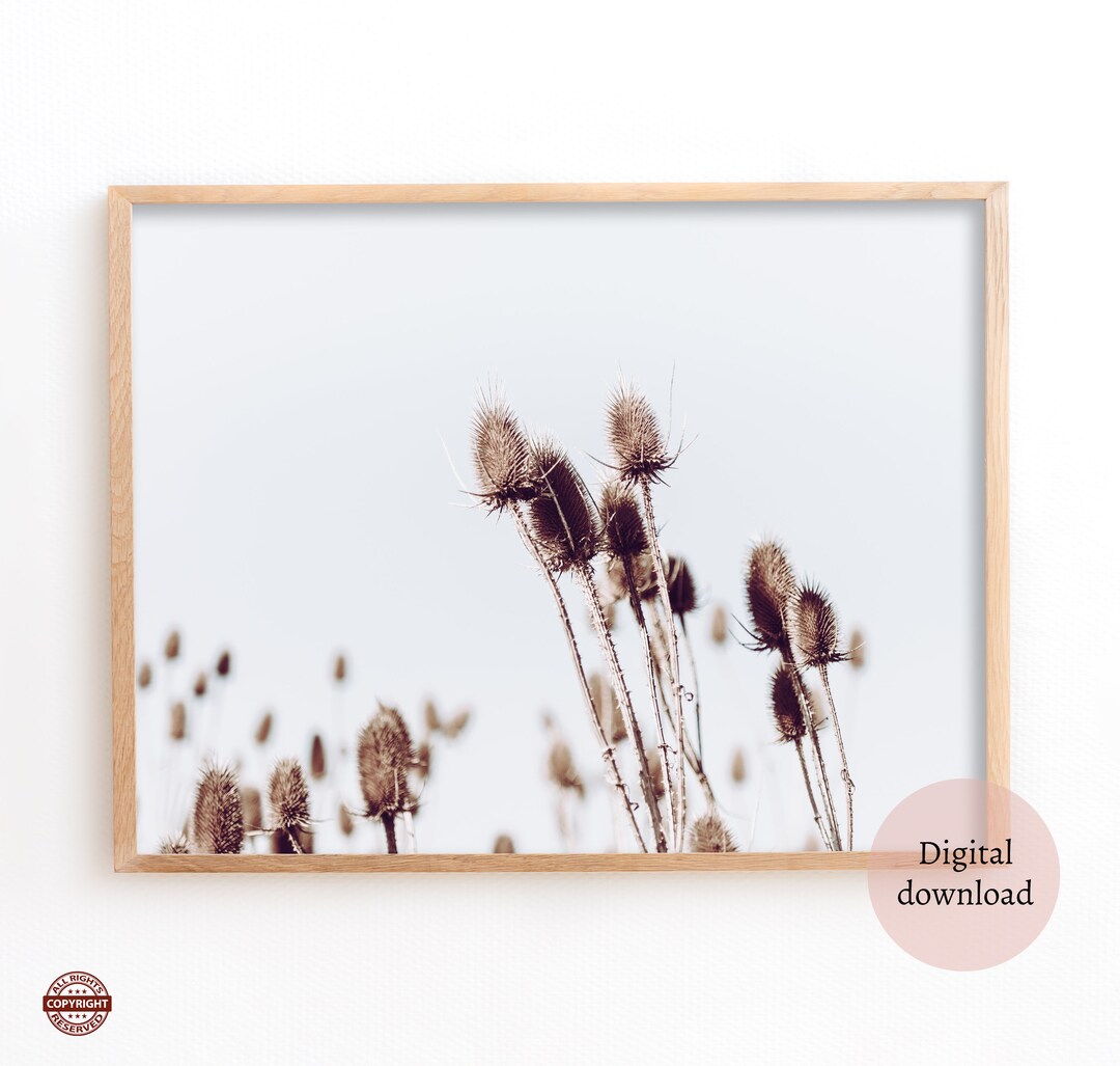 Thistle Print, Dried Thistles Poster, Printable Files, Dried Thistle ...