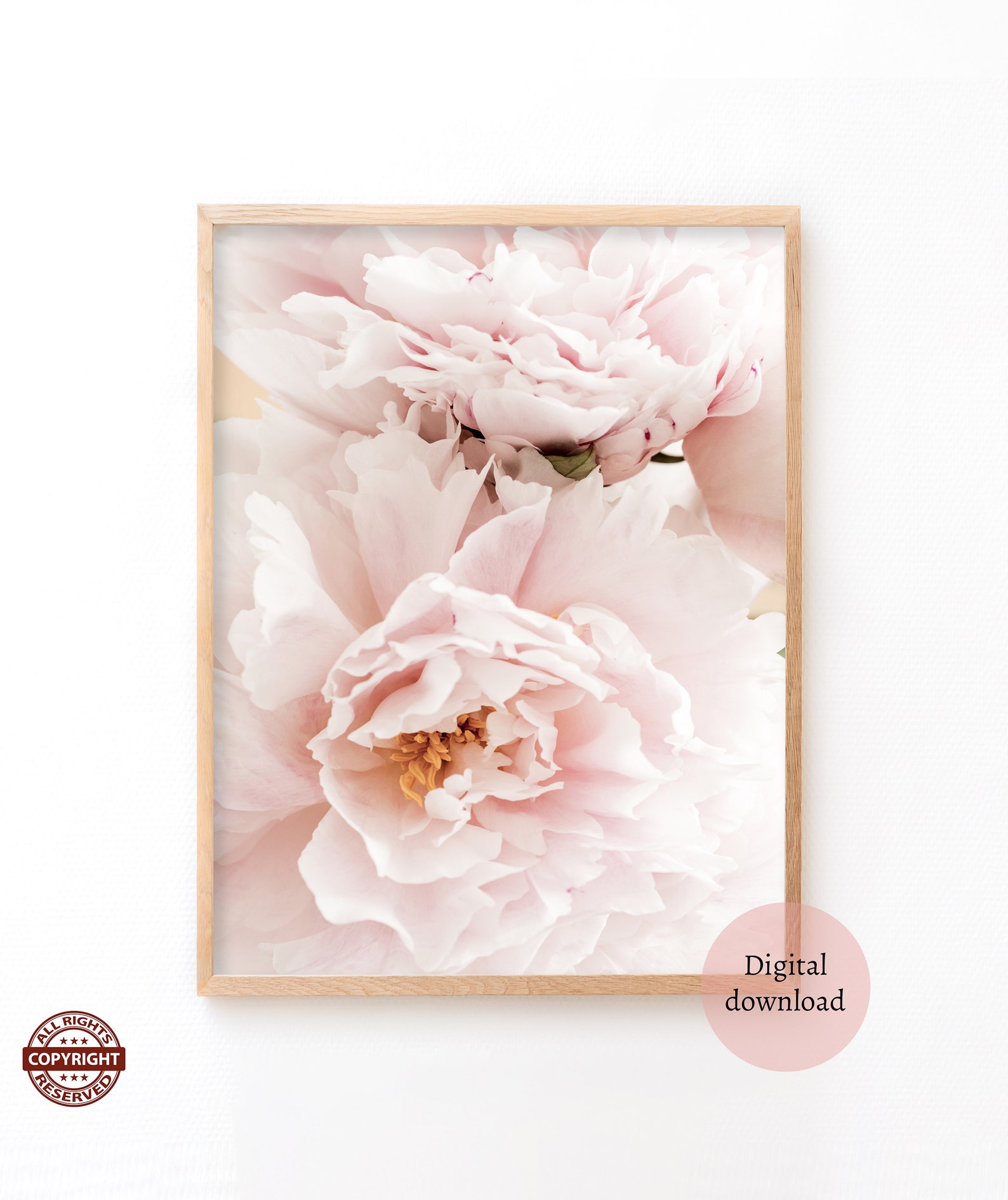 White Peonies Print Peony Wall Art Printable Art Floral | Etsy