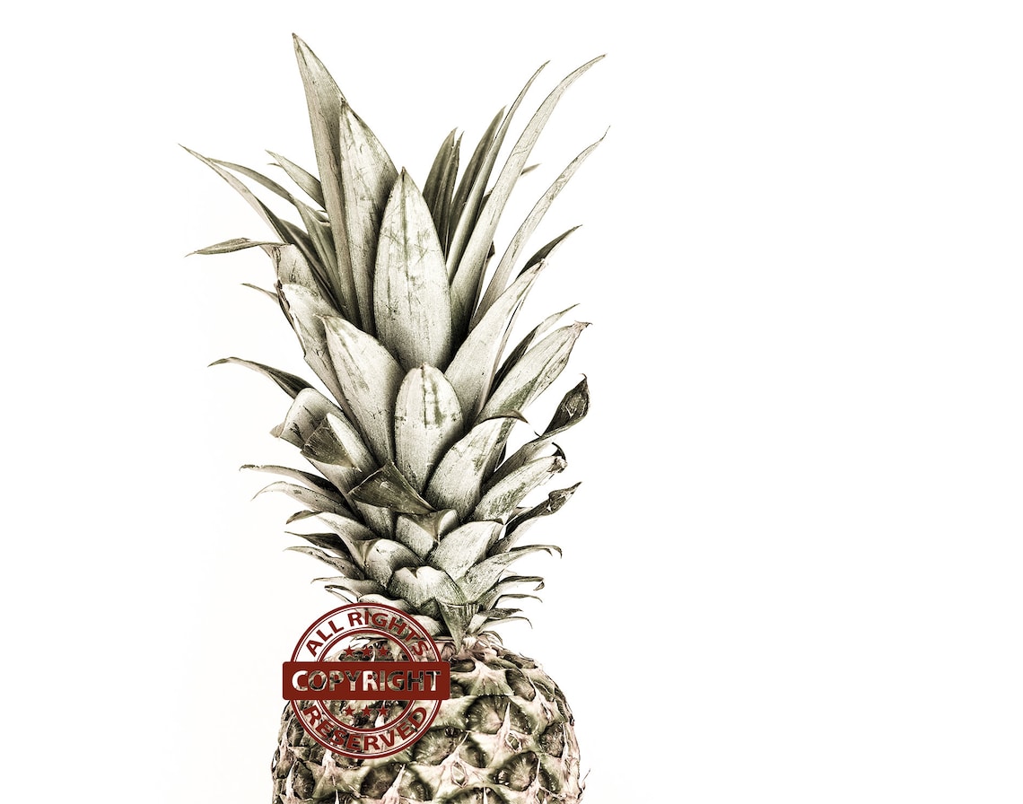 Pineapple Print Printable Files Minimal Wall Art Pineapple - Etsy