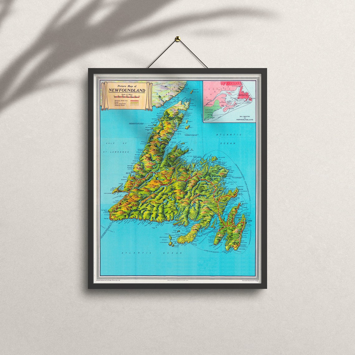 Vintage Map of Newfoundland Newfoundland map Vintage Map | Etsy