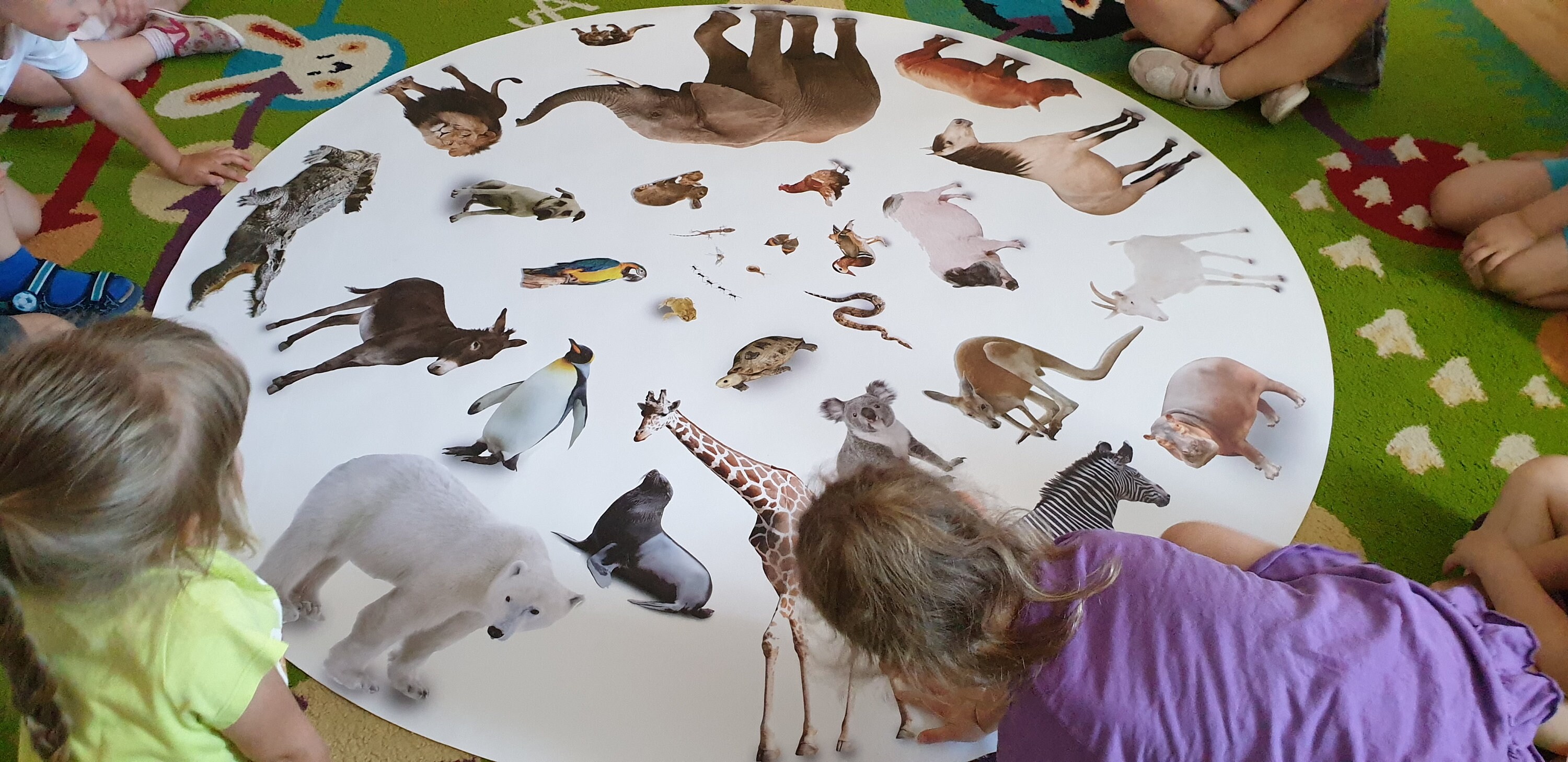 Animals Playmat Easy to Clean Animals Mat for Learning - Etsy