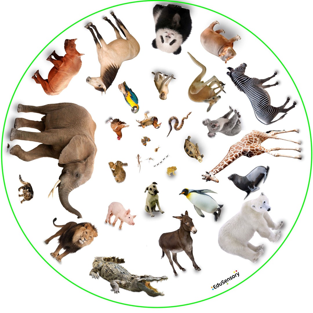 Animals Playmat- Easy to Clean Animals Mat for Learning - Etsy