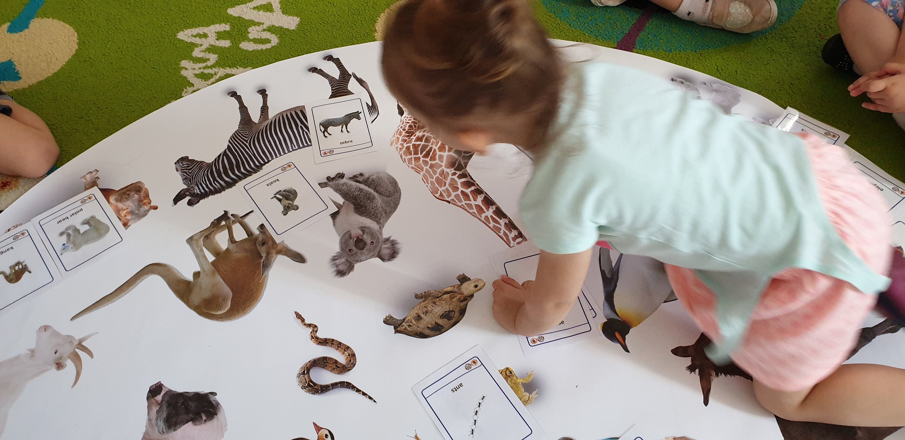 Animals Playmat- Easy to Clean Animals Mat for Learning - Etsy