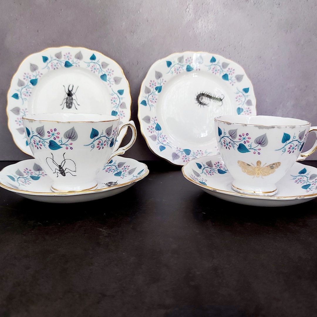 Skull Insects Vintage China Tea Cups Insect Beetles Cups - Etsy