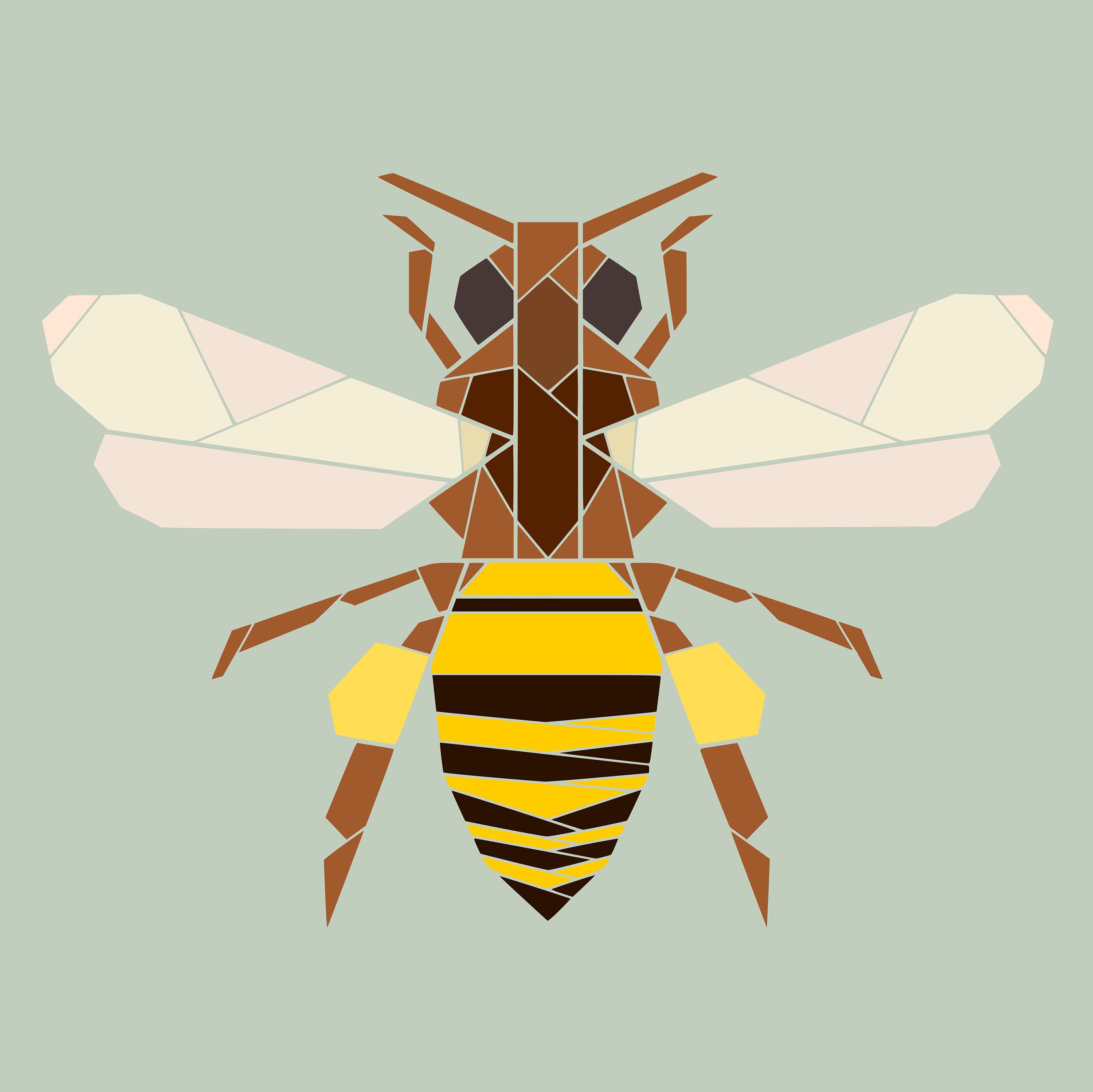 Honey Bee Quilt Paper Piecing Pattern - Etsy UK