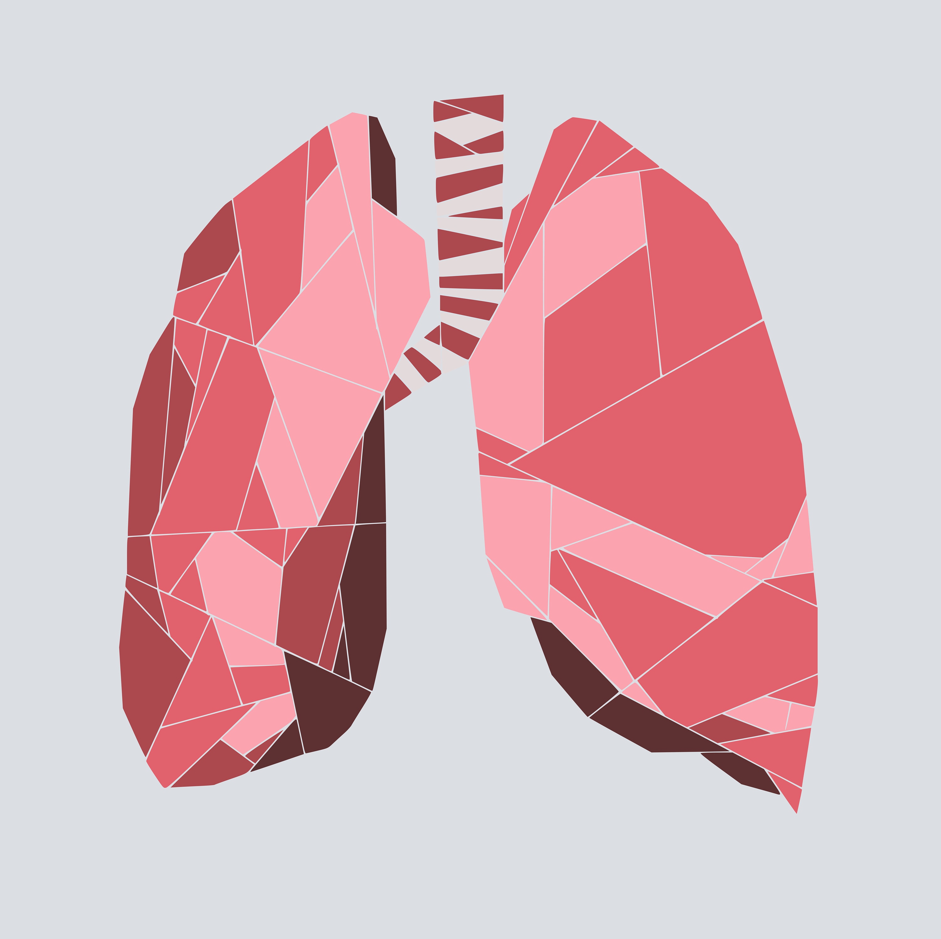 Anatomical Lungs paper piecing pattern | Etsy