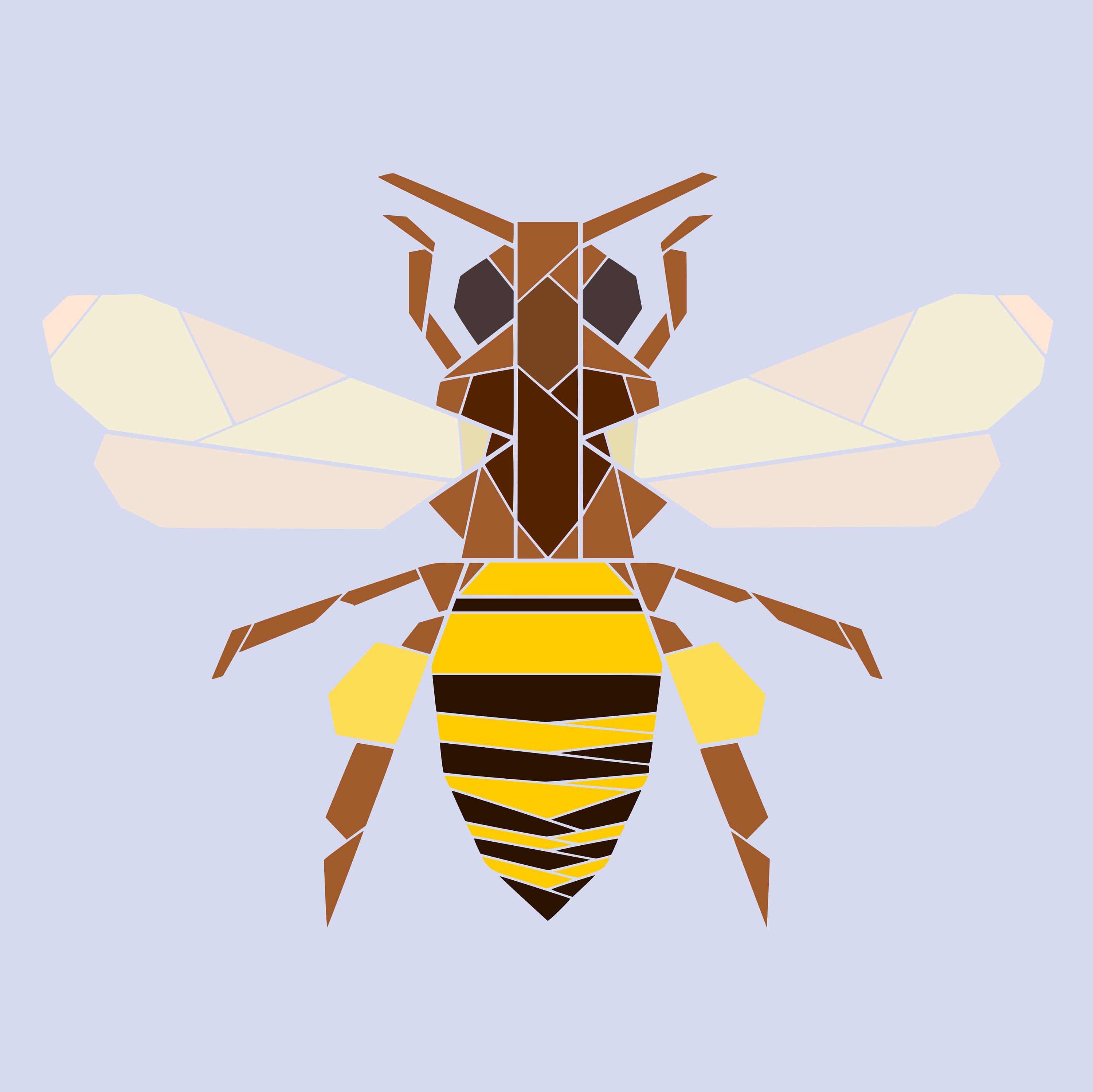 Honey Bee Quilt Paper Piecing Pattern - Etsy UK