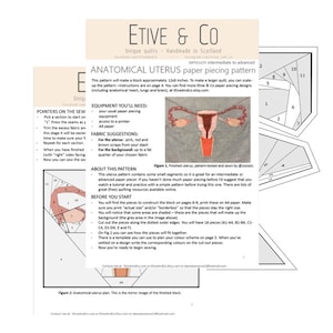 Anatomical Uterus Paper Piecing Pattern - Etsy