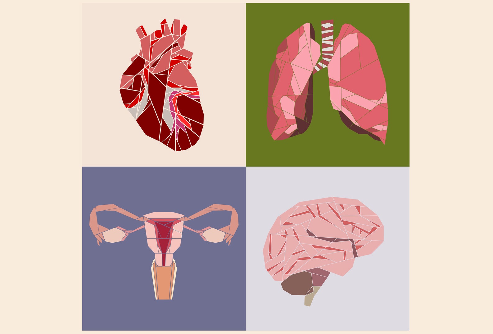 Anatomical Organ Paper Piecing Patterns - Etsy UK