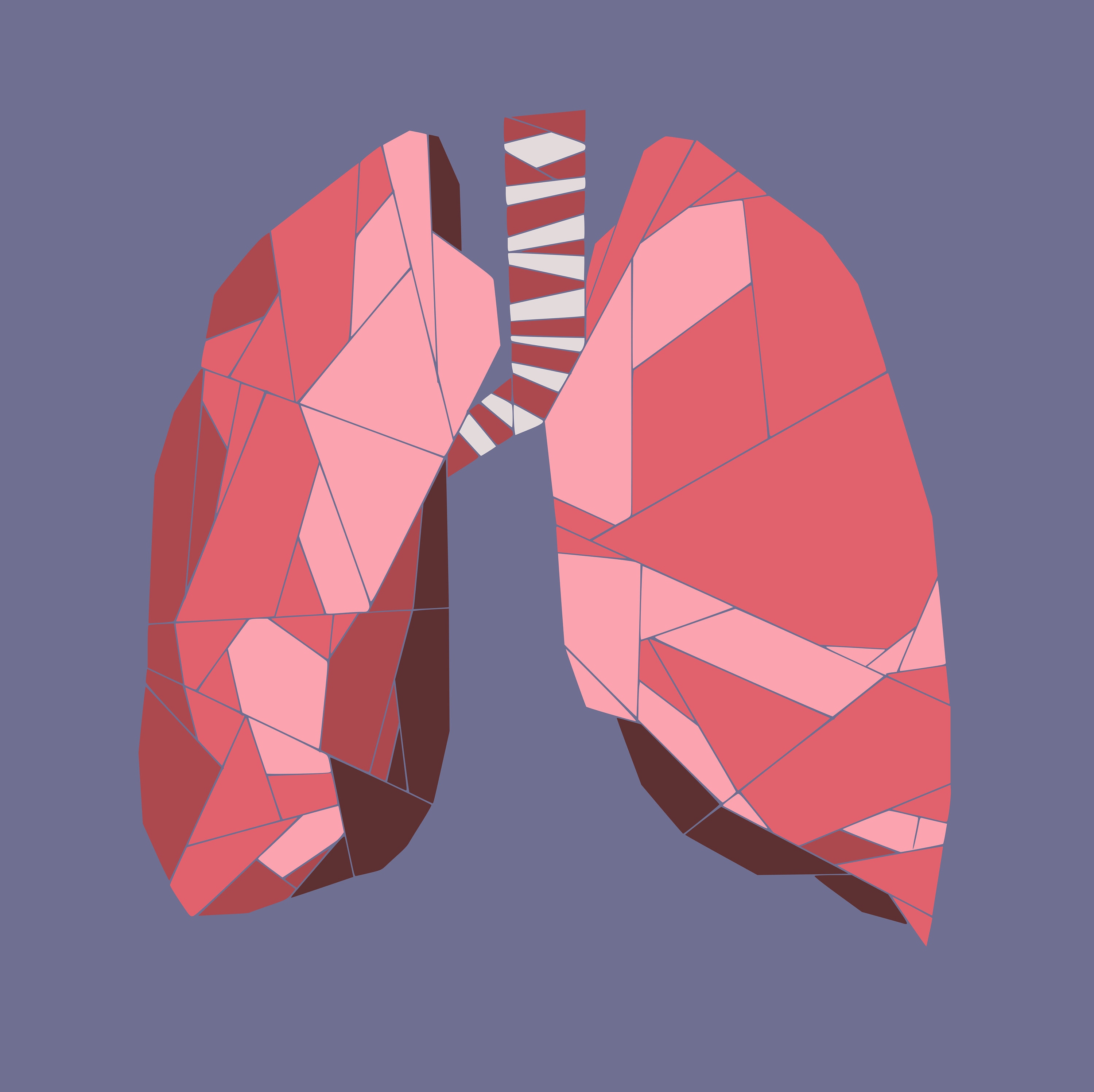 Anatomical Organ Paper Piecing Patterns - Etsy UK