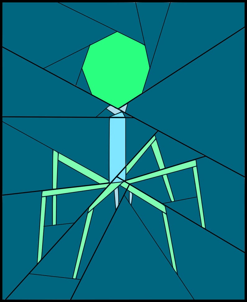 Virus quilt foundation paper piecing pattern make your own | Etsy