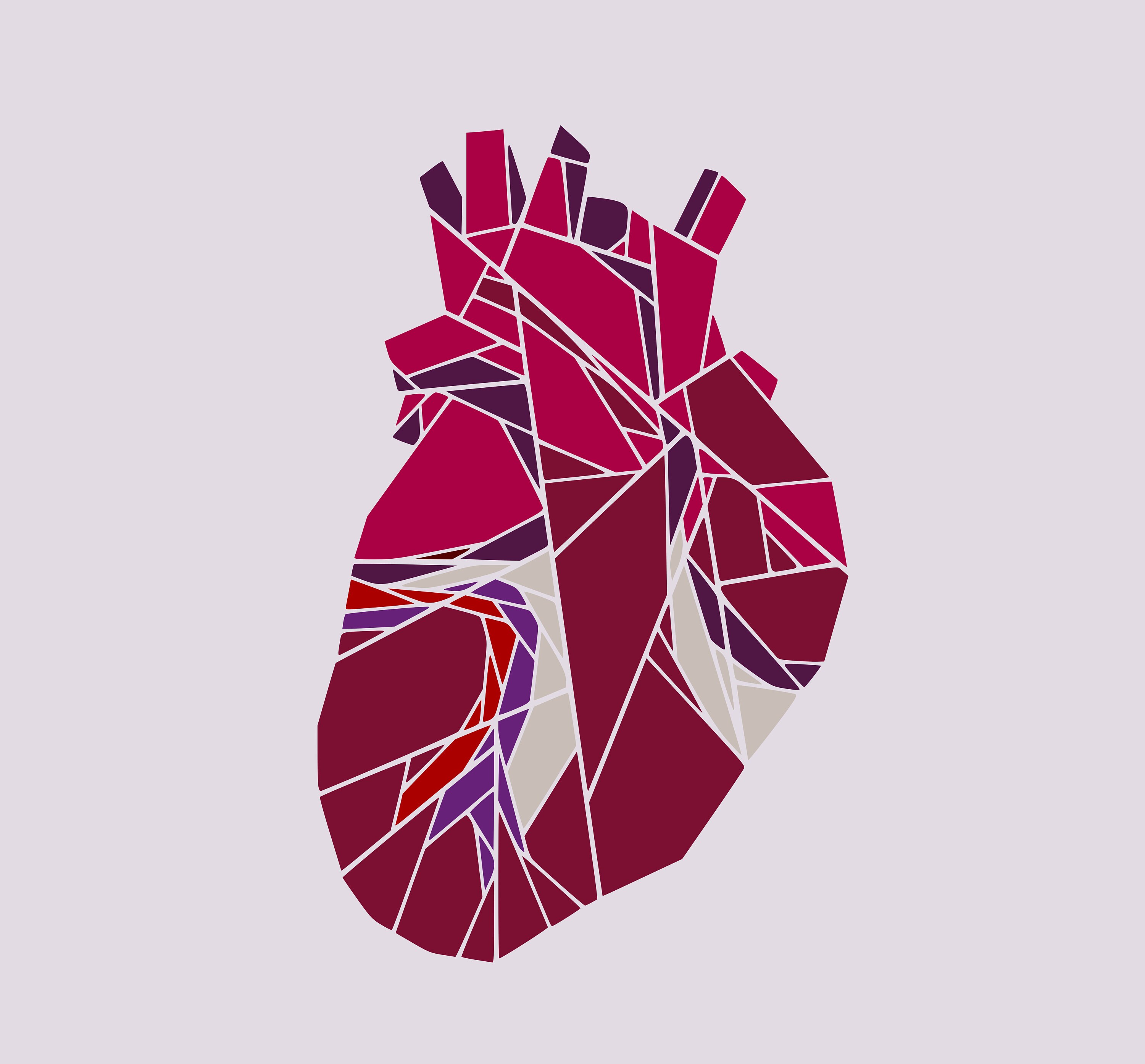 Anatomical Organ Paper Piecing Patterns - Etsy UK