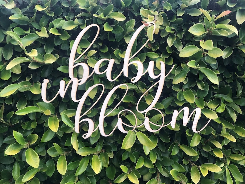 Custom Wooden Words Cursive Natural Wood Sign Baby in Bloom Sign Love ...