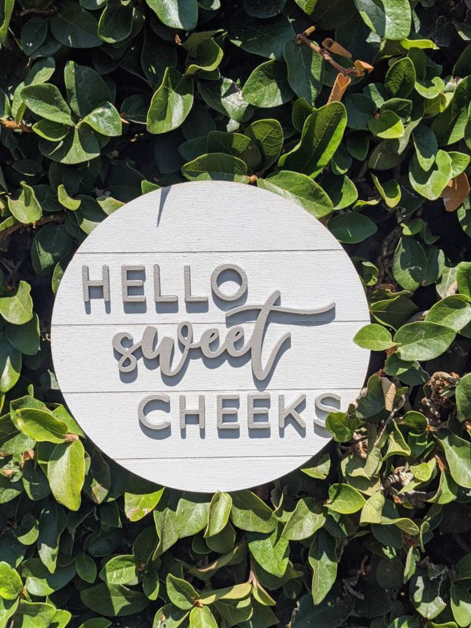 Hello Sweet Cheeks Sign | Living Room Decor | Home Decor | Shiplap ...