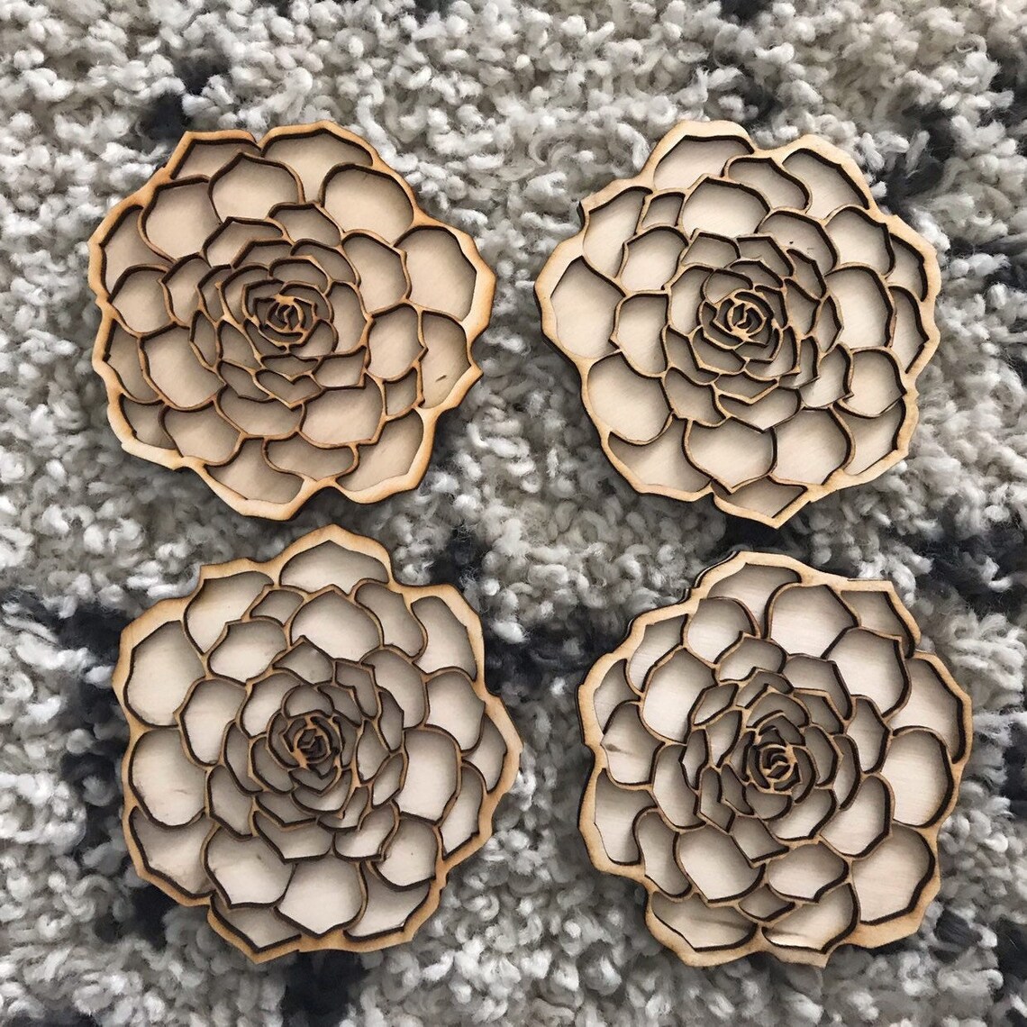 Succulent Coasters Cactus Cacti Desert Decor Nature Decor - Etsy