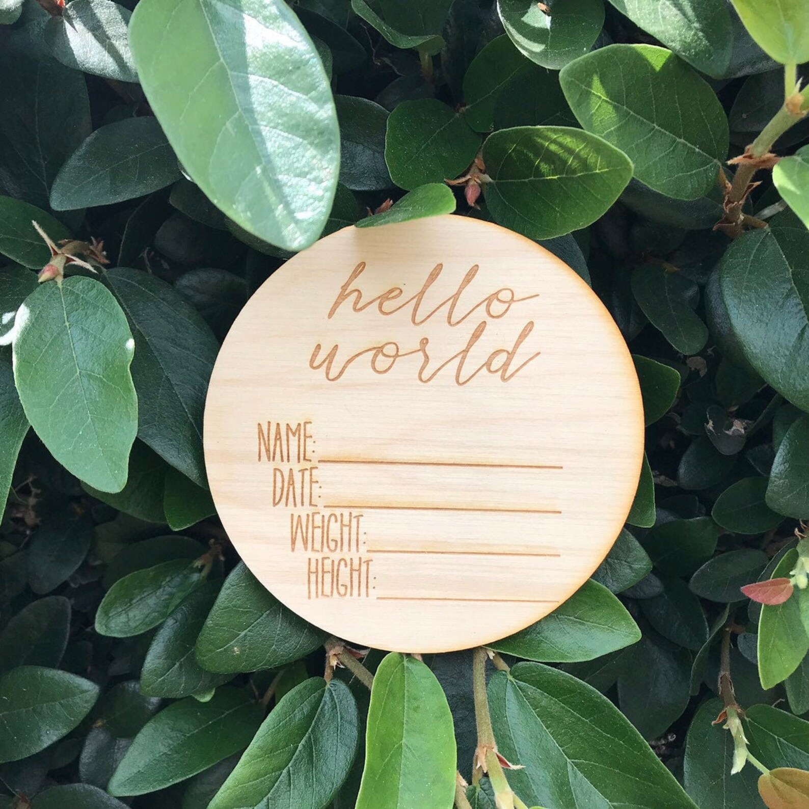 Custom Hello World Birth Name Date Height Weight Announcement - Etsy
