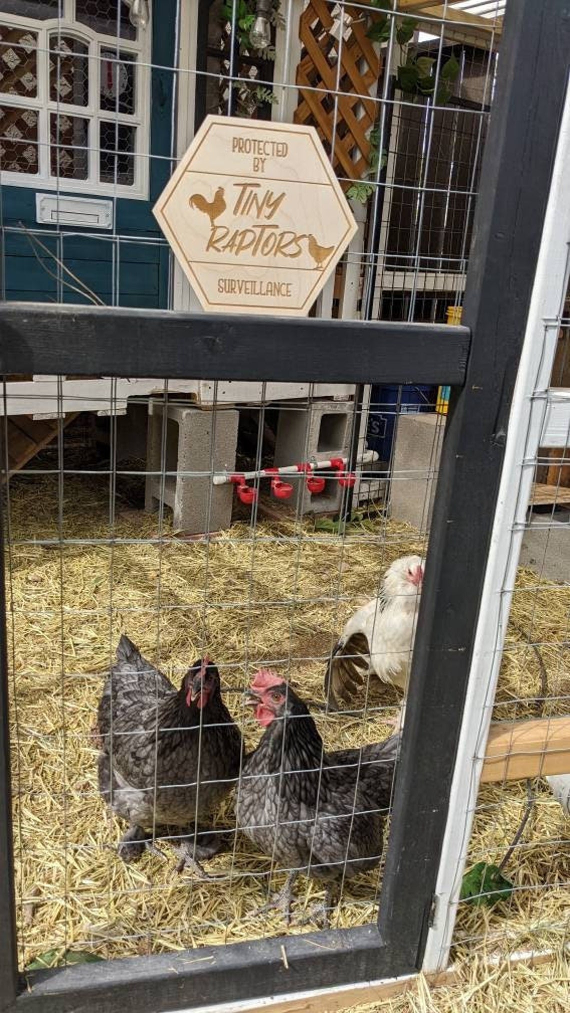 Protected by Tiny Raptor Farm Sign Personalized Farm Sign | Etsy