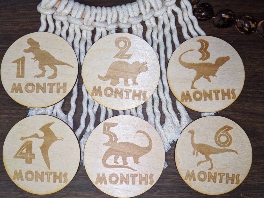 Dinosaur Baby Monthly Milestone Cards | Adventure | Wooden Milestone ...