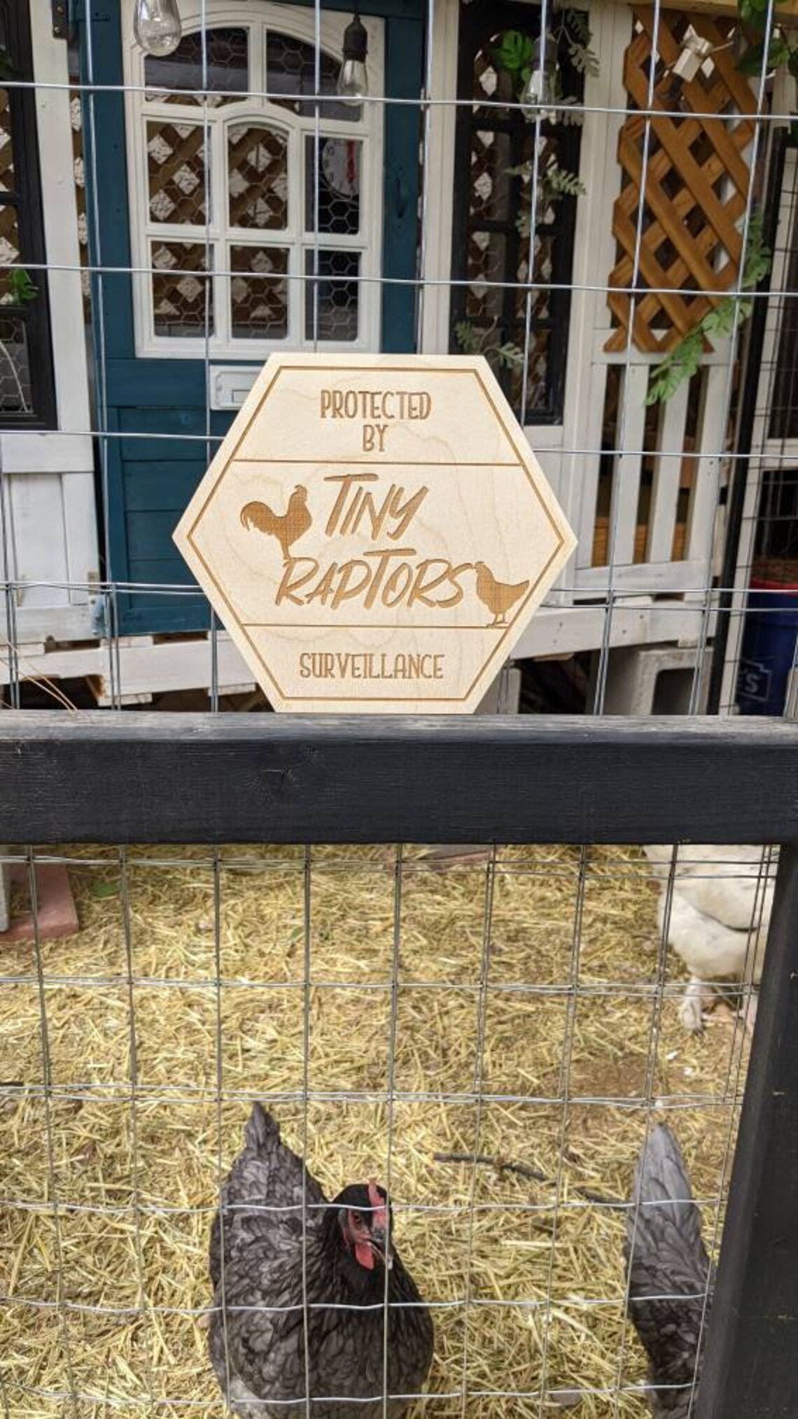 Protected by Tiny Raptor Farm Sign Personalized Farm Sign | Etsy