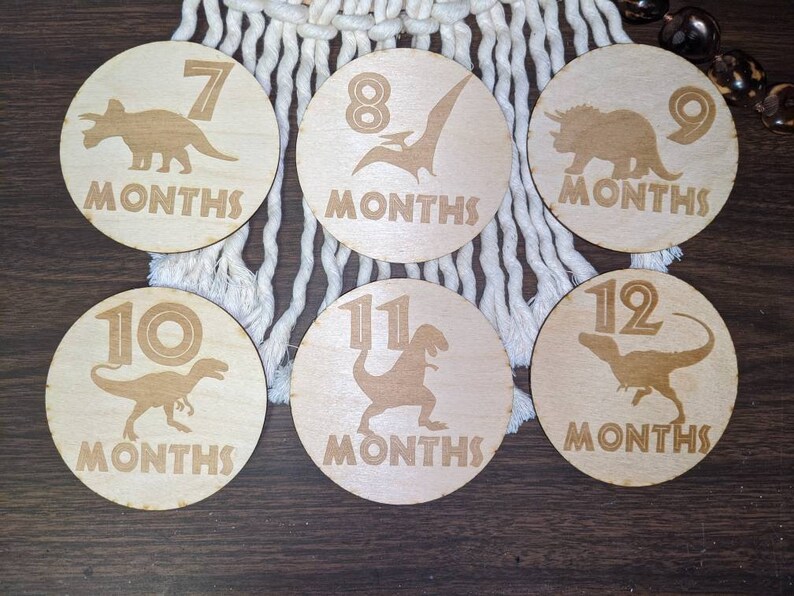 Dinosaur Baby Monthly Milestone Cards | Adventure | Wooden Milestone ...