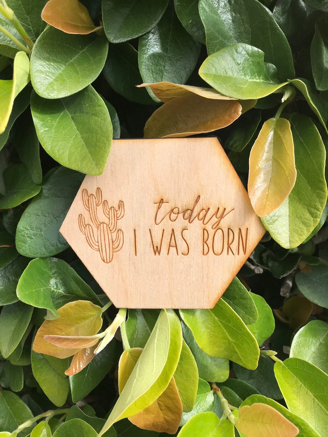 Today I Was Born Cactus Cacti Lover Baby Sign Engraved Birth ...