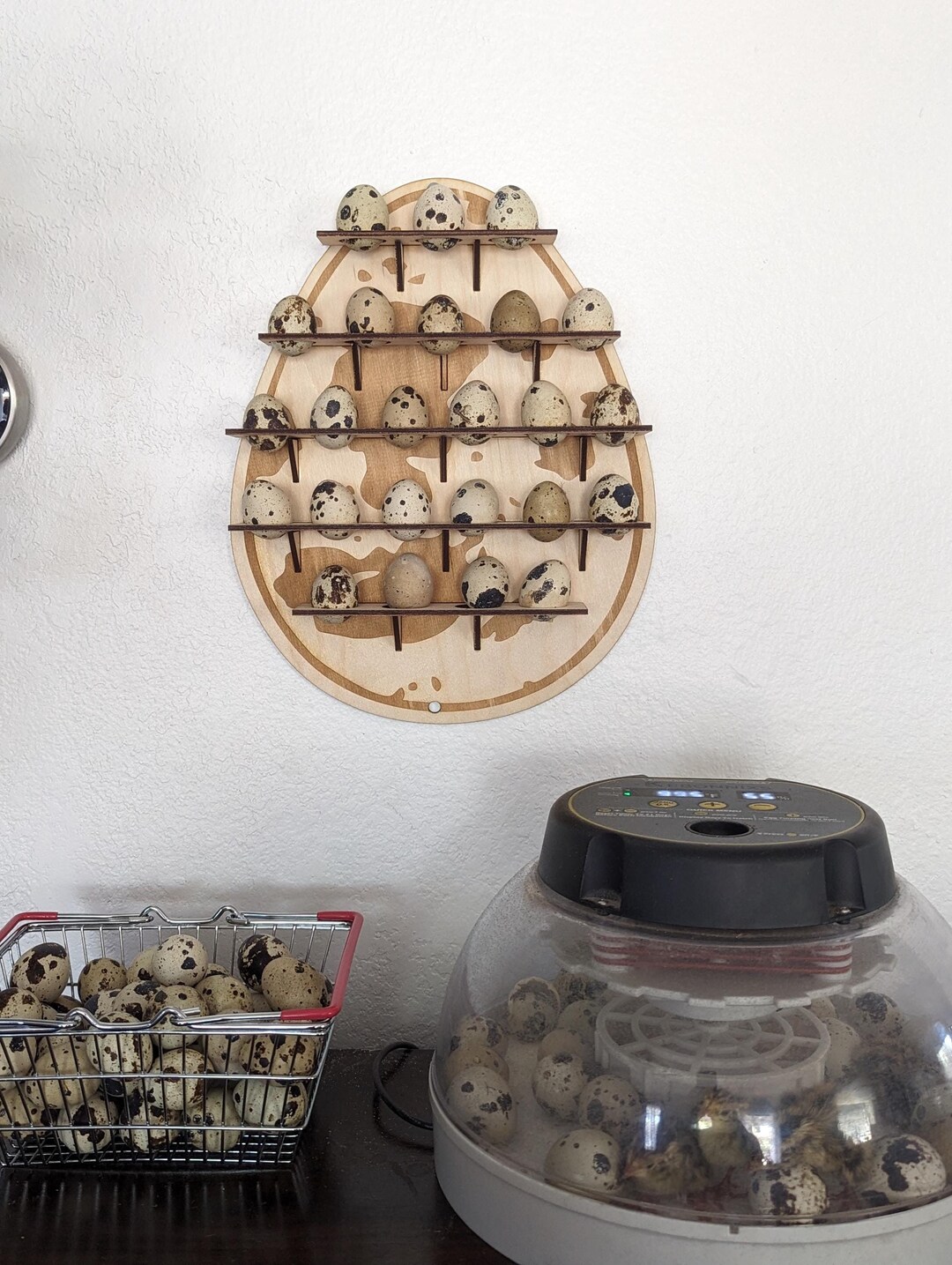 Quail Egg Holder | Quail Gift | Coturnix Quail Decor | Quail Egg ...