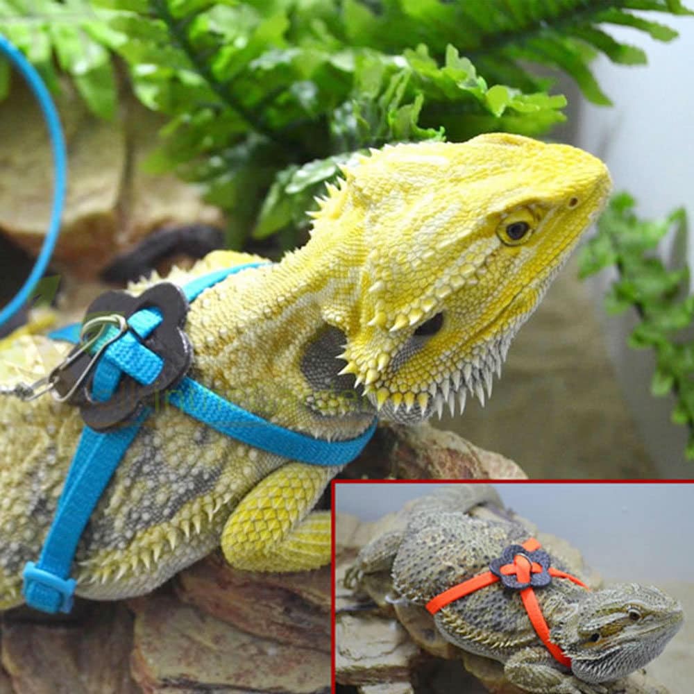 1 Pc Adjustable Reptile Harness Leash Durable Multi Color - Etsy Canada