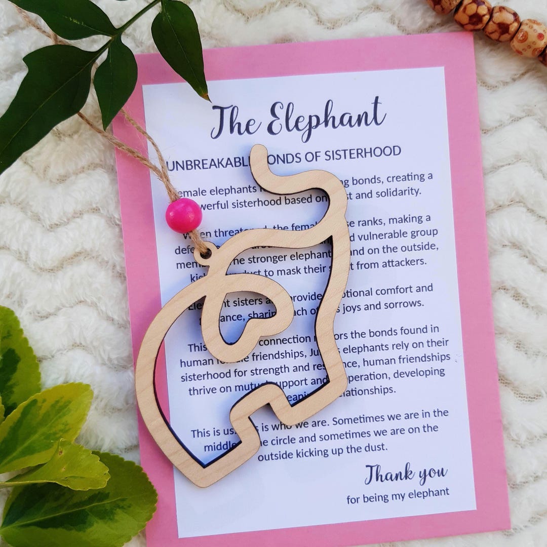 Gift for Friend Unbreakable Bond of Sisterhood, Elephant Sisterhood ...