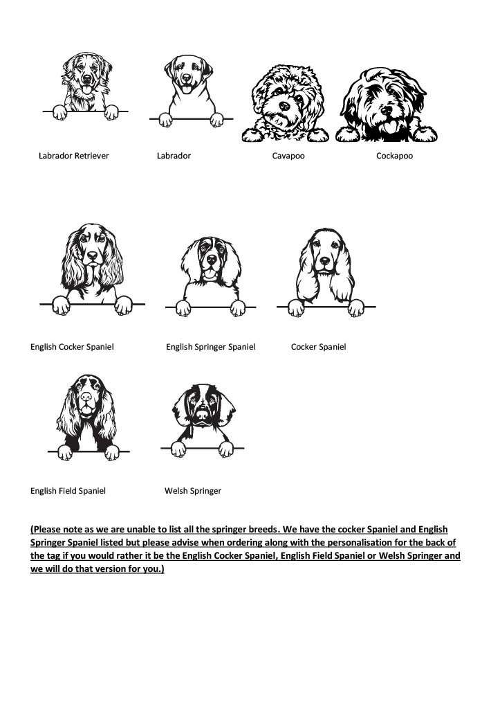 Dog Tag Name Tag Pet ID Dog Name Disc Engraved Stainless - Etsy UK