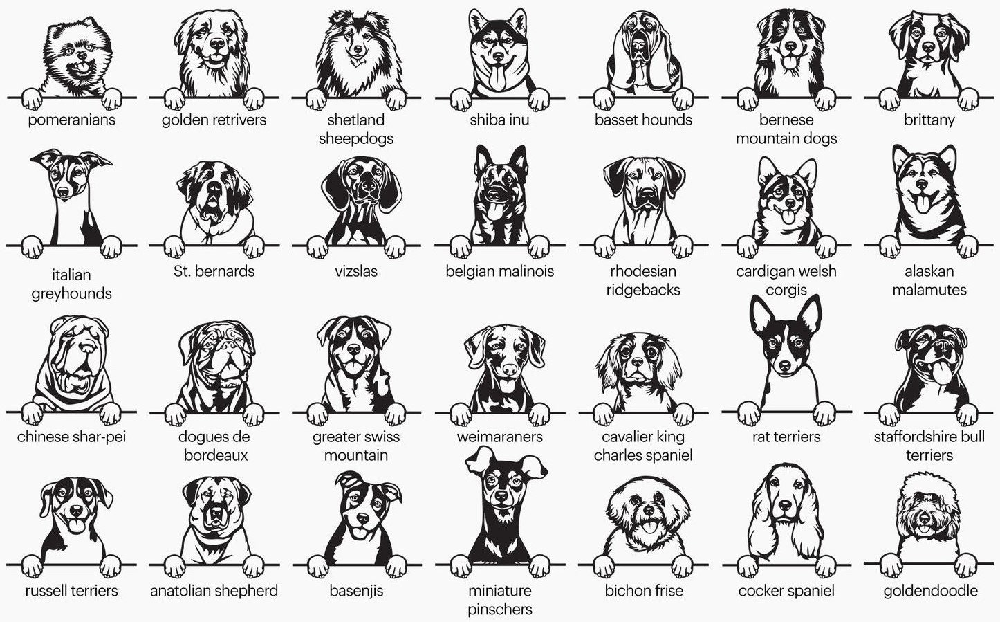 Dog Tag Name Tag Pet ID Dog Name Disc Engraved Stainless - Etsy UK