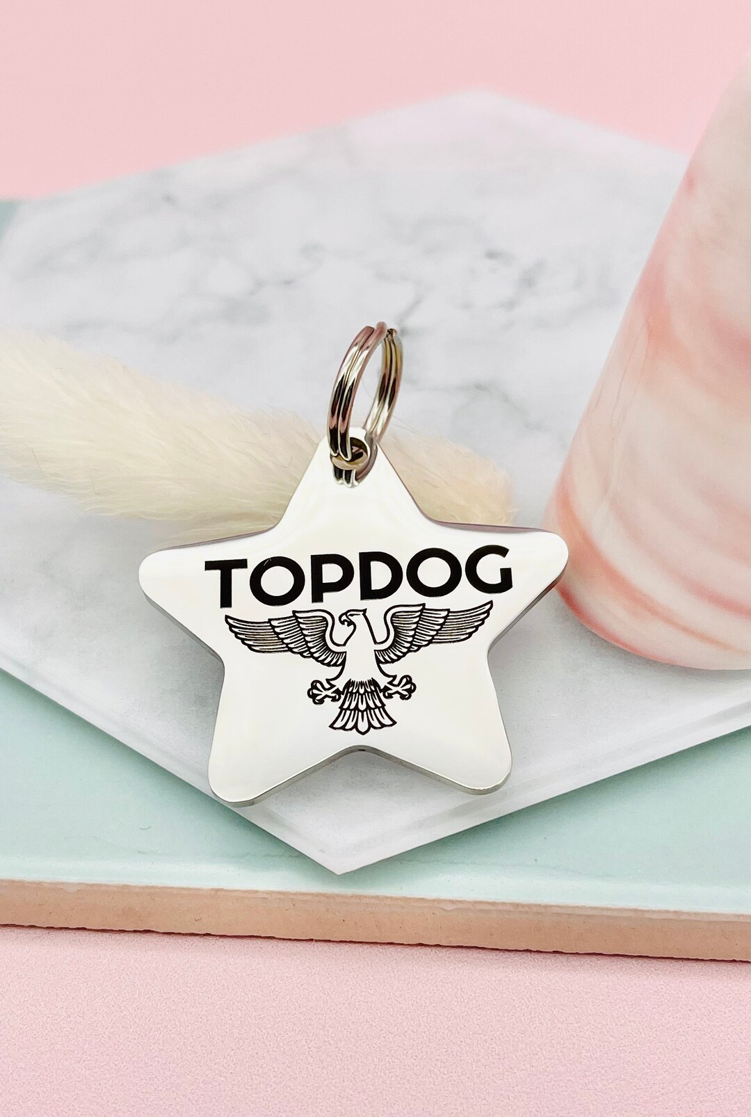 Dog Tag, Star Name Tag, Pet ID, Dog Name Disc, Engraved Stainless Steel ...
