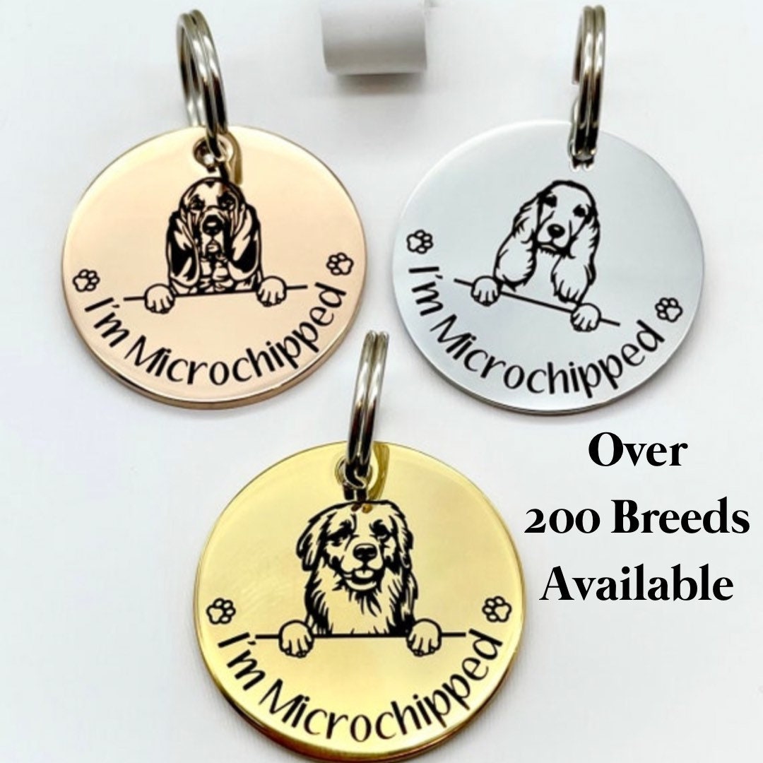 Dog Tag, Name Tag, Pet ID, Dog Name Disc, Engraved Stainless Steel ...