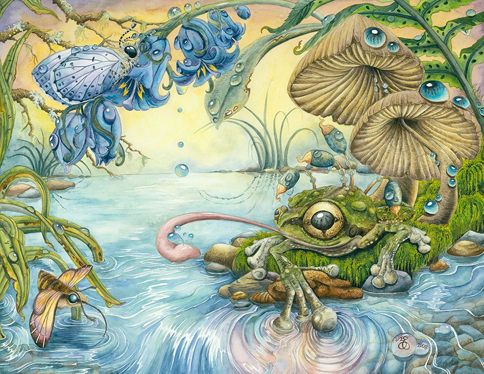 Frog's Eye View 16 X 21 Original Watercolour Paintings by Zoey ...