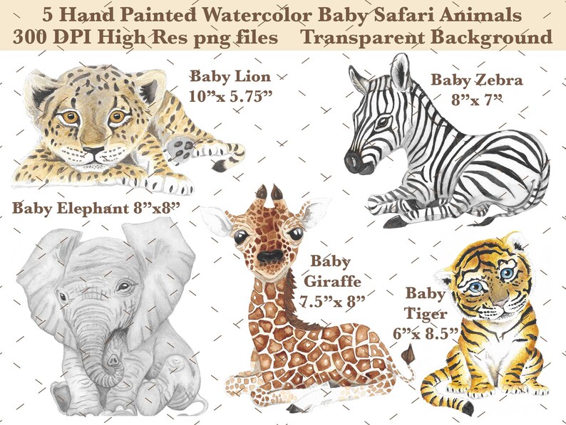 Baby Safari Animals Clipart African Animals Clip Art Jungle Plants Hand ...
