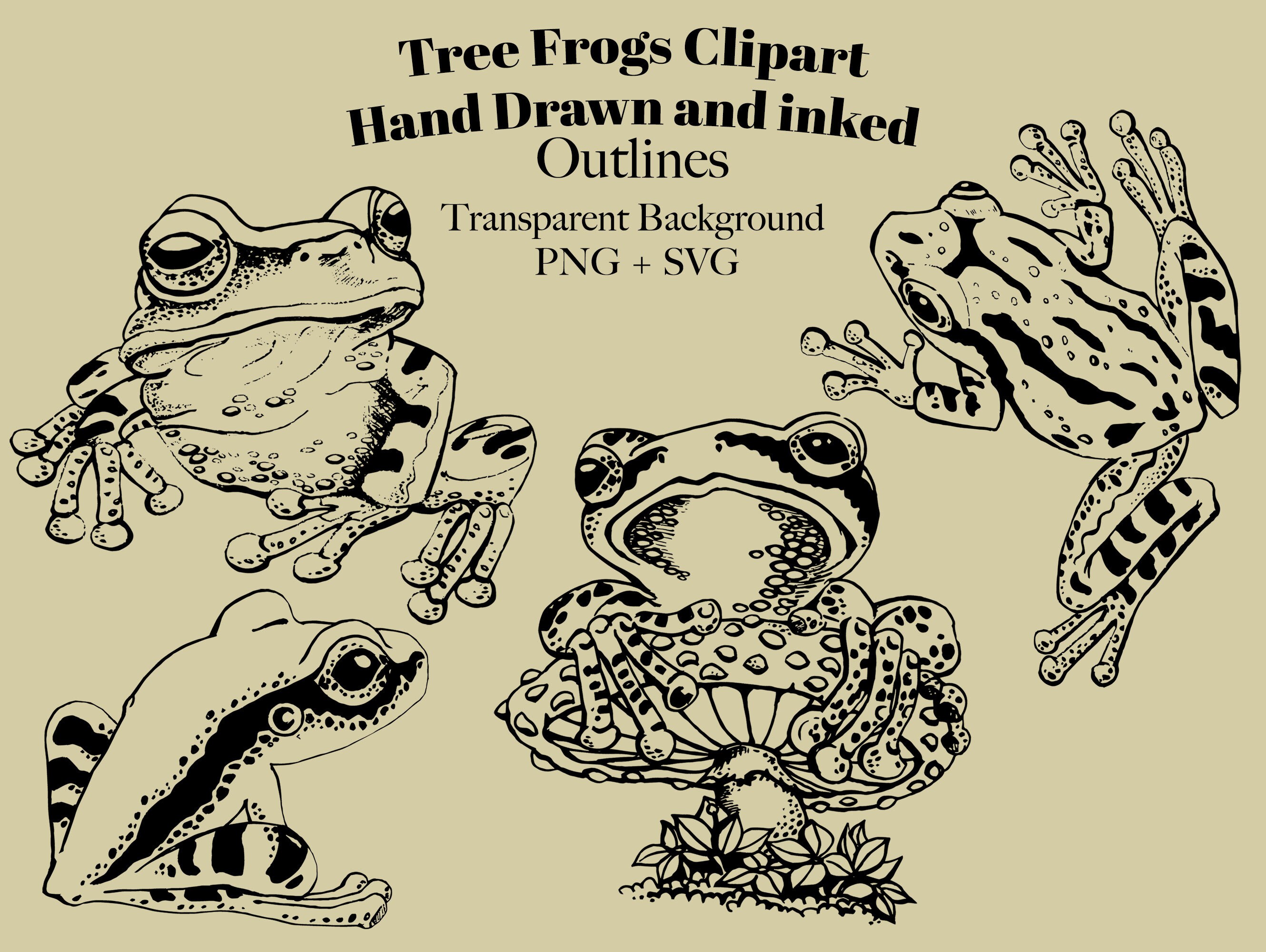 Tree Frogs Clipart - for Frog Lovers - Hand Drawn and Inked - SVG - PNG ...