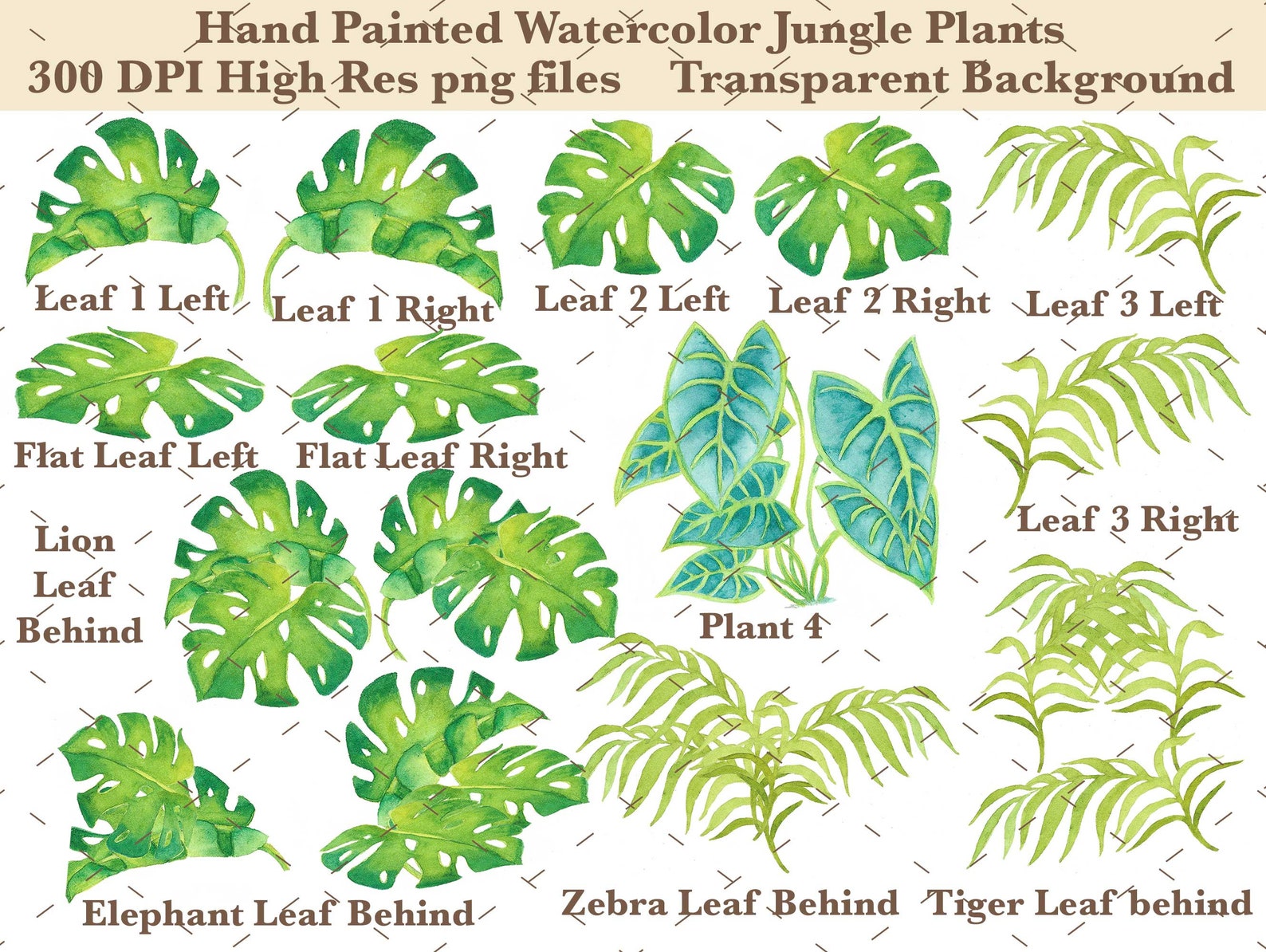 Baby Safari Animals Clipart African Animals Clip Art Jungle Plants Hand ...