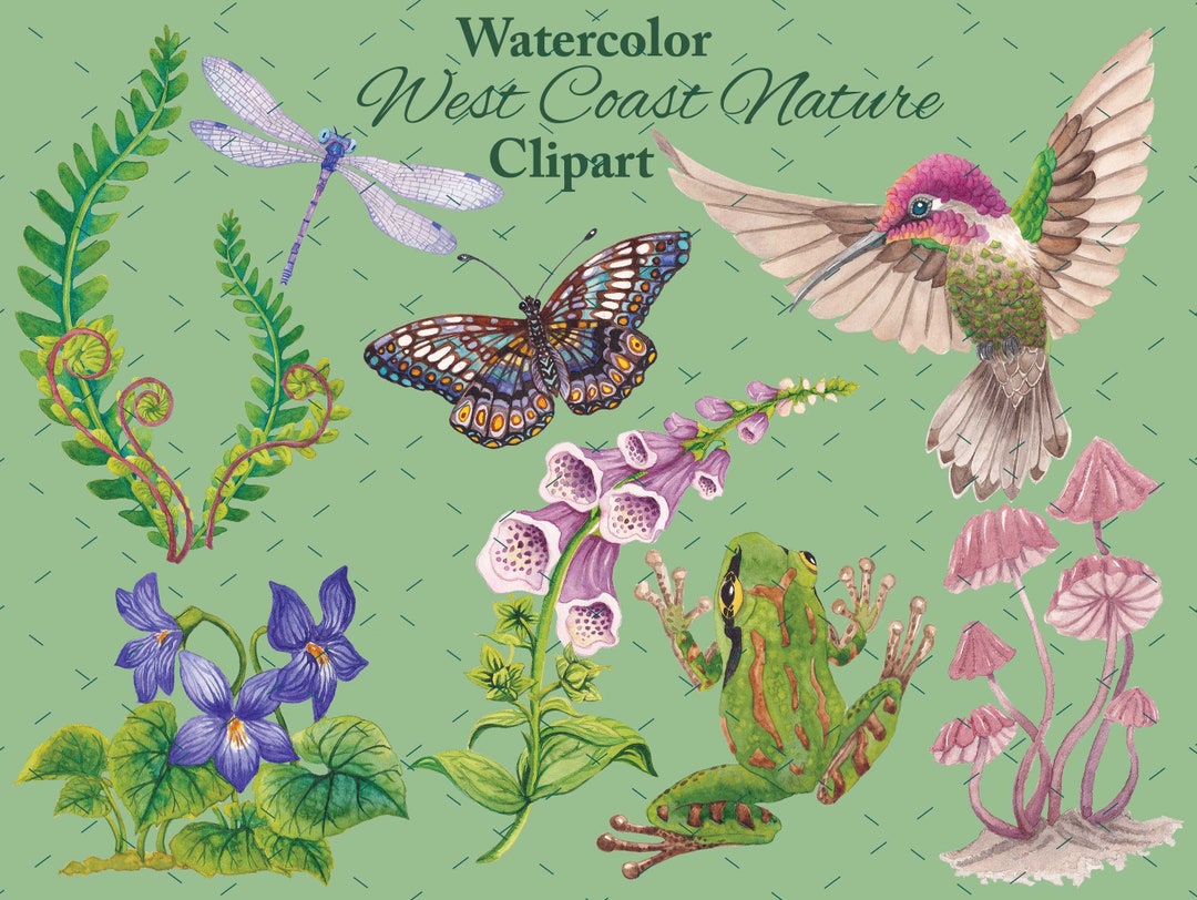 Nature Clipart - Forest Clip Art - Watercolor - Hand Painted - Woodland ...