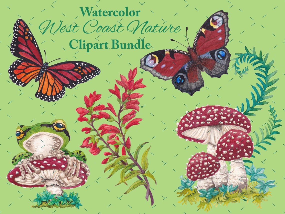 West Coast Nature Clip Art Bundle 3 - Forest Clipart - Watercolor ...