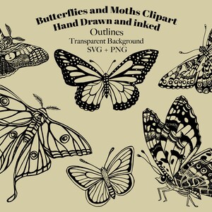 Butterflies Clipart - Butterfly and Moth Clip Art - Hand Drawn and ...