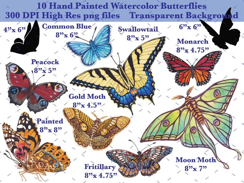 Butterfly Clipart - Moths - Watercolor Butterflies Clip Art - Hand ...