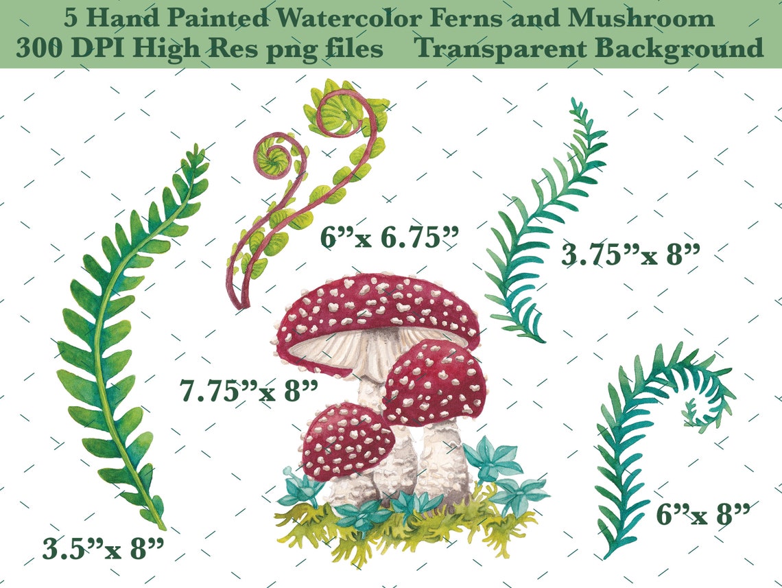 Frog Clipart Bundle - Tree Frog Clip Art - Mushroom - Fern - Frog ...