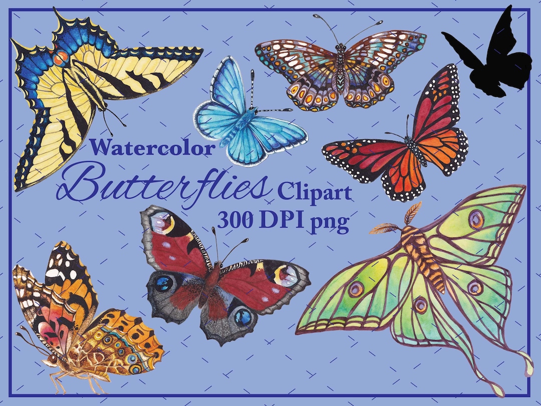 Butterfly Clipart - Moths - Watercolor Butterflies Clip Art - Hand ...